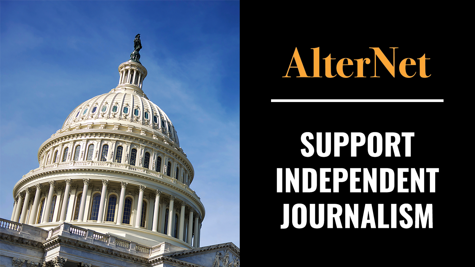 Keep Democracy Alive: Invest in Courageous, Progressive Journalism