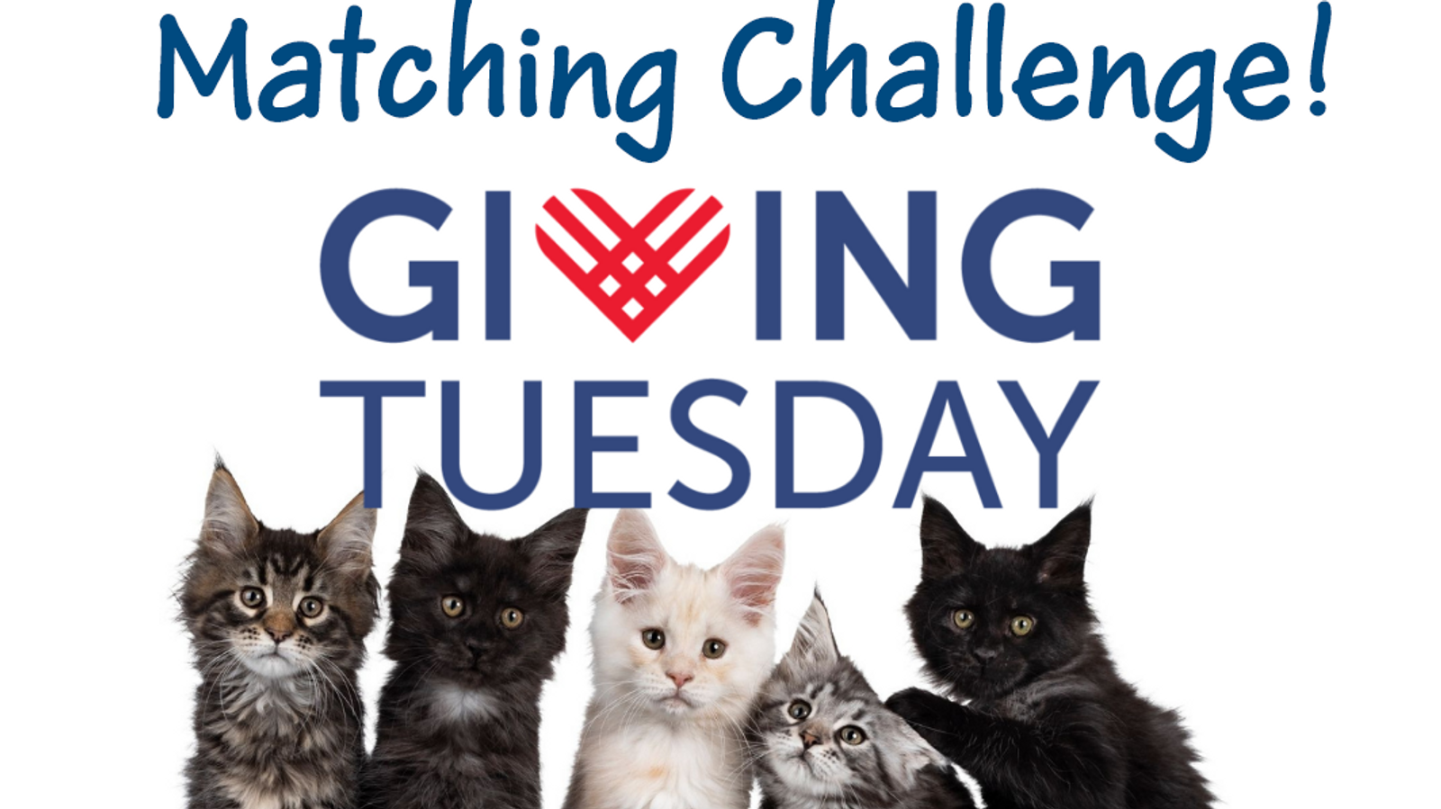 2024 Giving Tuesday $4,000 Matching Donation Challenge
