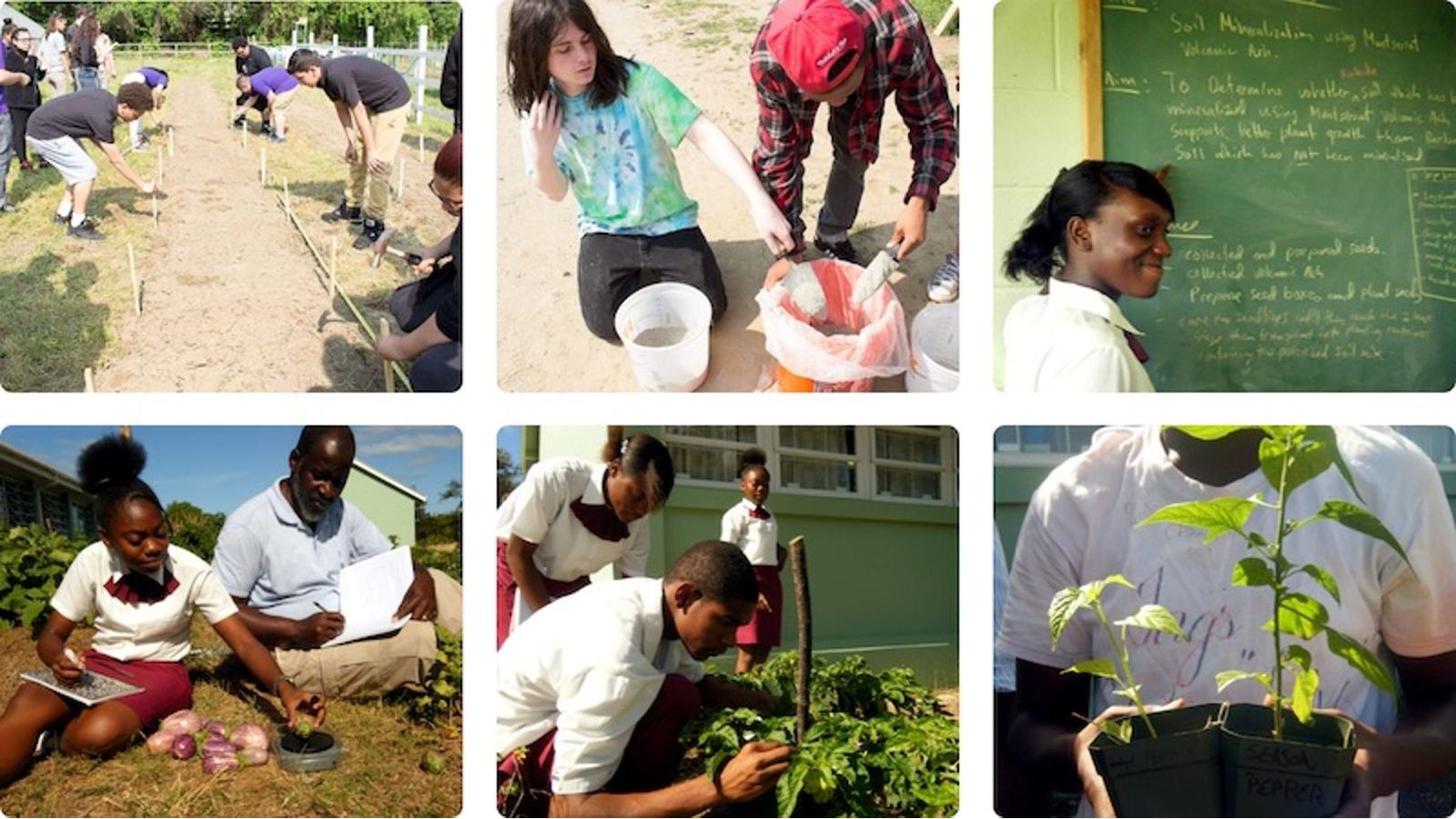 Help us give teachers the tools to educate a new generation of eco ...