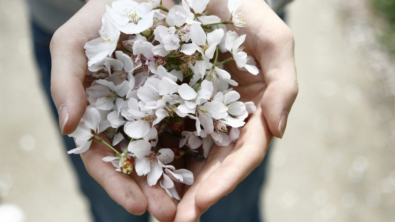 2nd Annual Spring into Giving Board Fundraiser